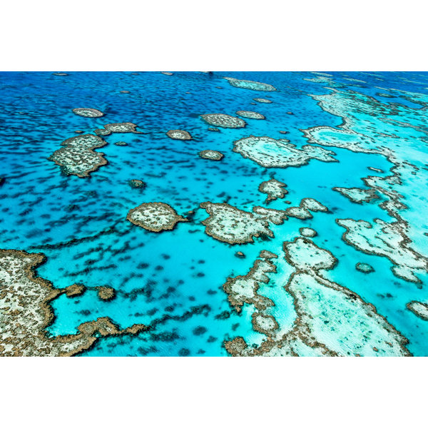 Highland Dunes Great Barrier Reef | Wayfair.co.uk