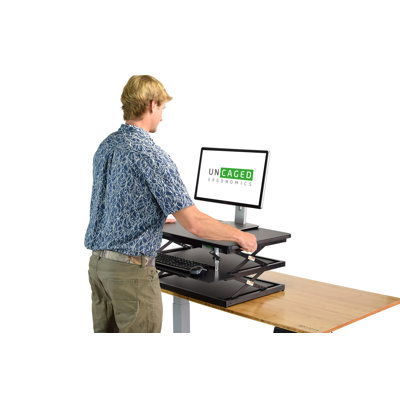 Symple Stuff Gandy 31'' Desk & Reviews | Wayfair