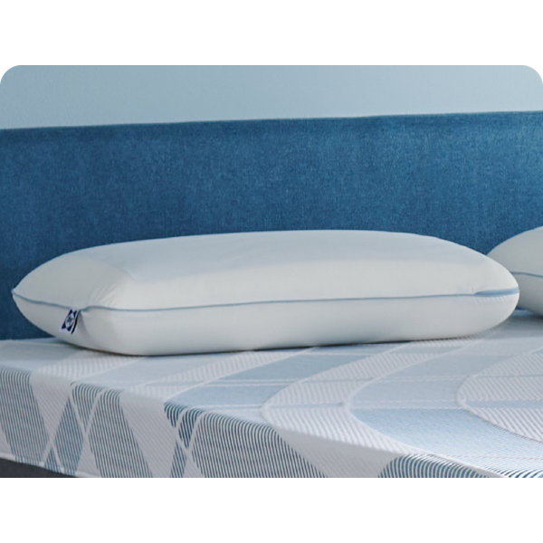 Sealy Dreamlife Memory Foam Gel Medium Firm Pillow, Standard - Dual ...