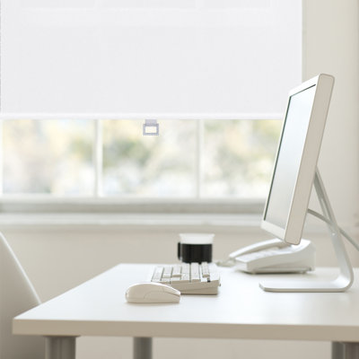 Symple Stuff Room Darkening Cordless Roller Shade & Reviews | Wayfair