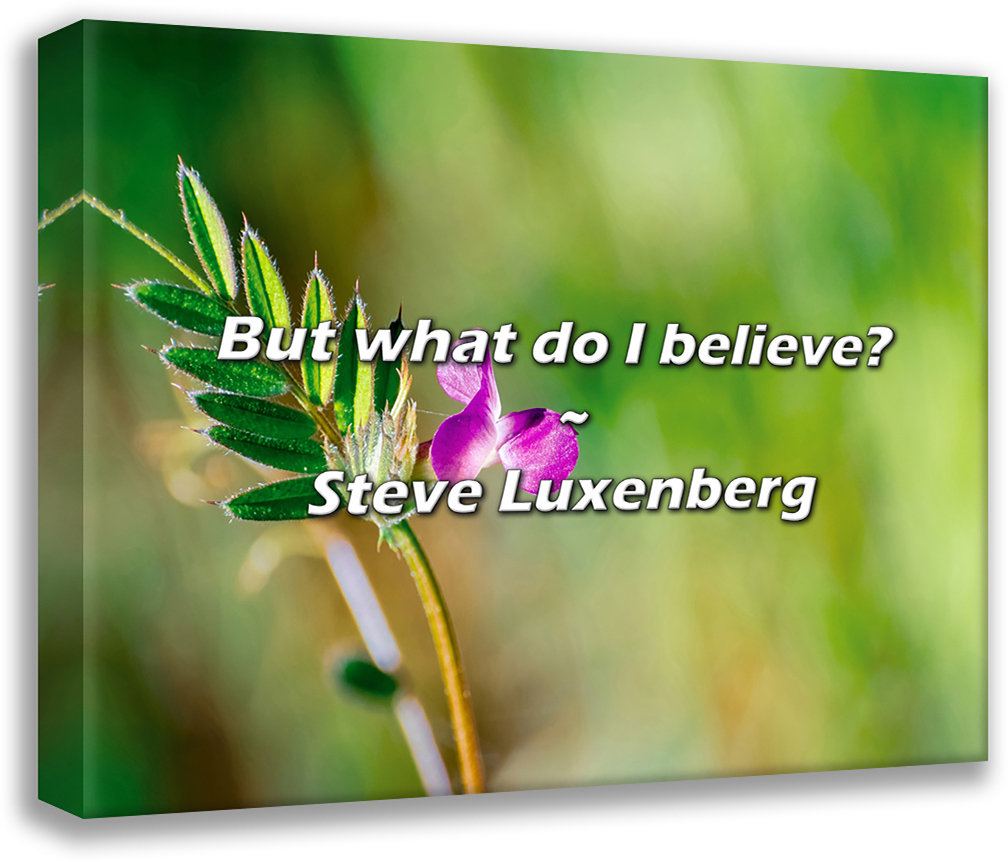 Trinx Steve Luxenberg Quote: But what do I believe? | Wayfair