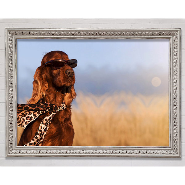 Bright Star Glamorous Irish Setter Dog - Single Picture Frame Print ...