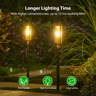 LETMY Black Low Voltage Solar Powered Integrated LED Pathway Light ...