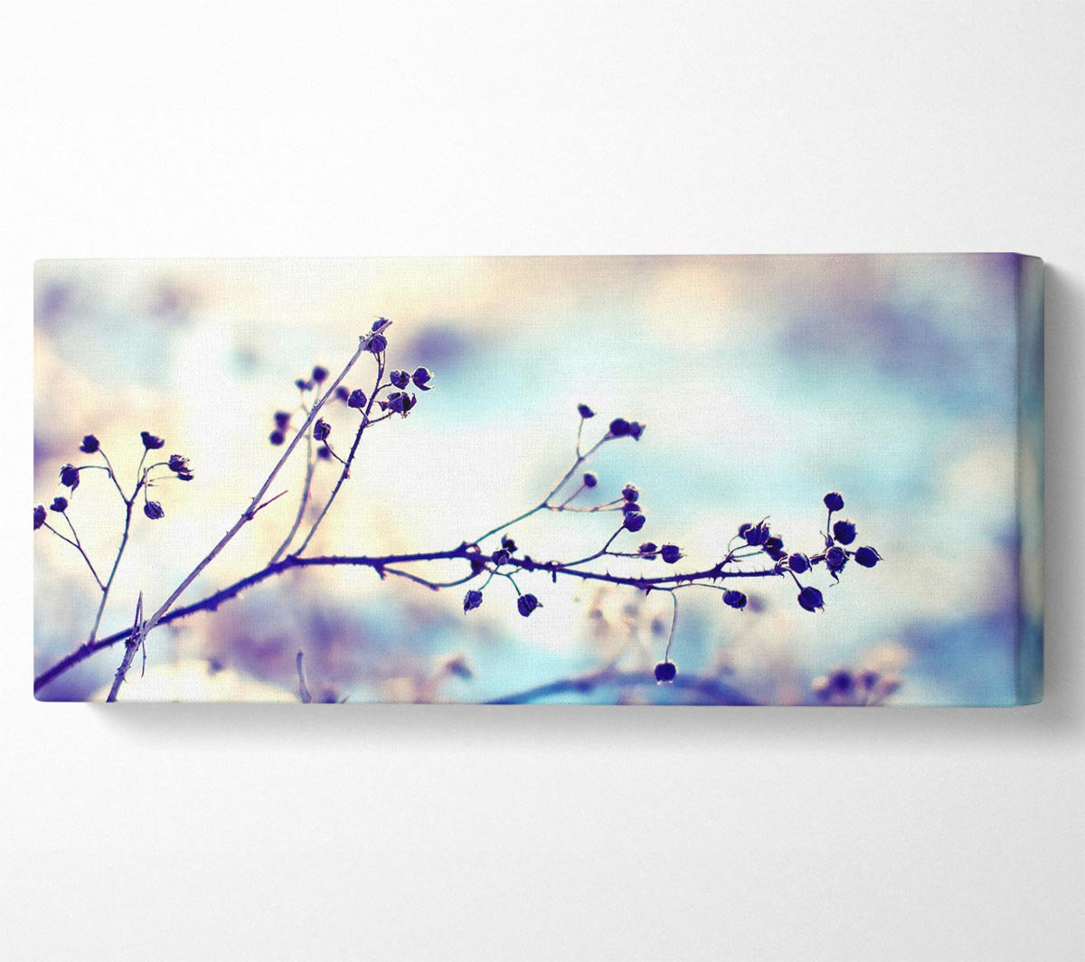 Ebern Designs Spikey Twigs With Berries - Wrapped Canvas Art Prints ...