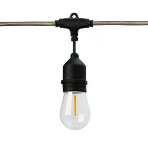17 Stories 24 Ft. Black Filament String Light 12 Bulbs, Connect Up To 6 ...