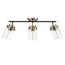 Globe Electric Company Adelaide 3-Light Antique Brass Track Lighting ...