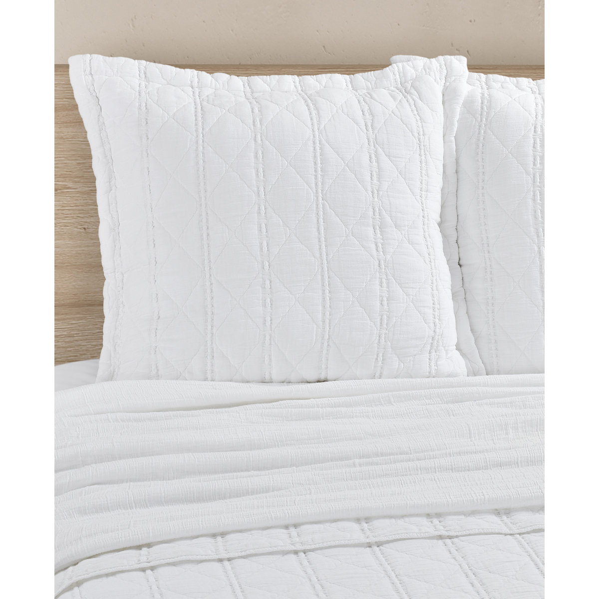 Joss & Main Pacifica Euro Sham | Birch Lane