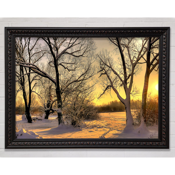 Bright Star Footsteps In Snow - Single Picture Frame Print | Wayfair.co.uk