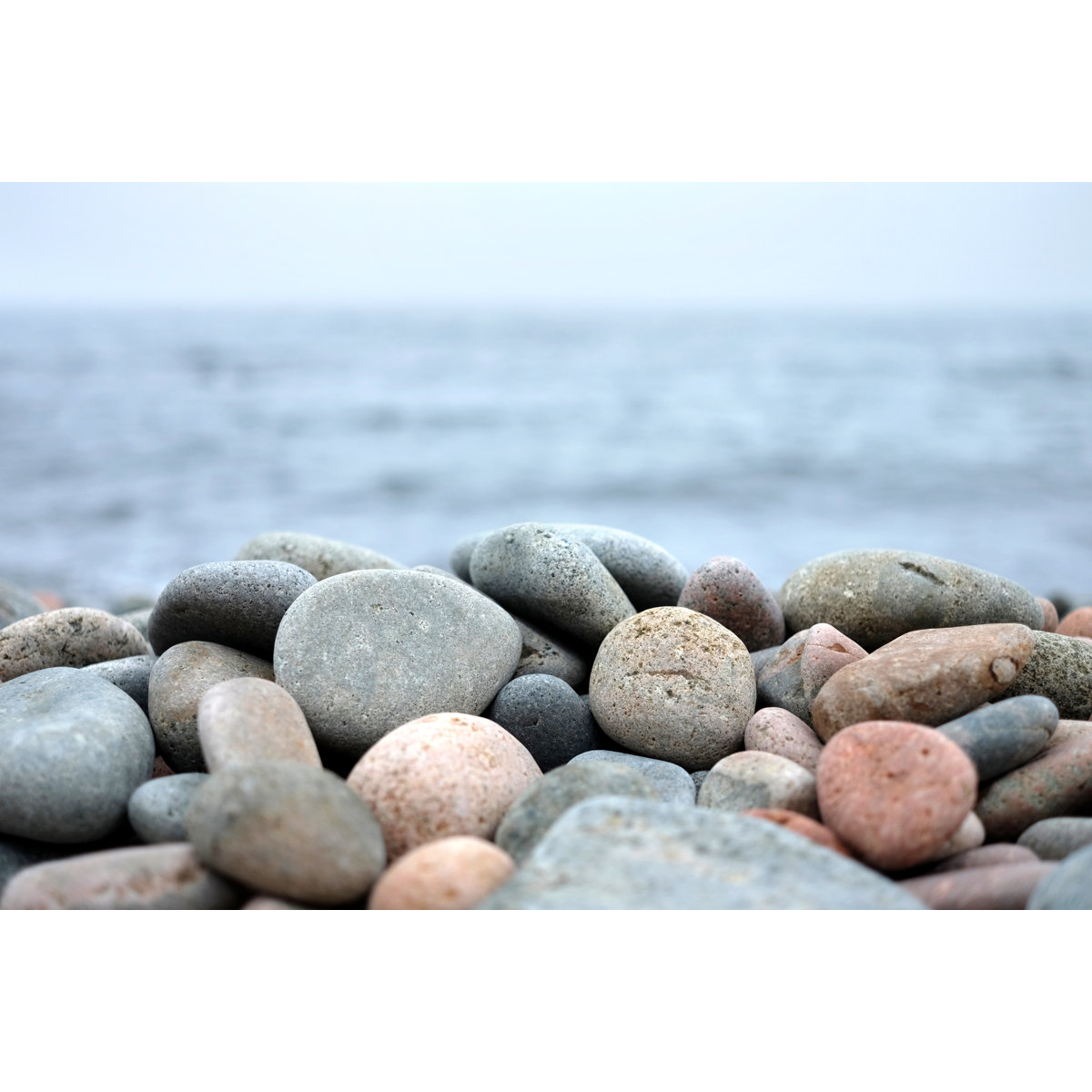 House of Hampton Sea Stones | Wayfair.co.uk