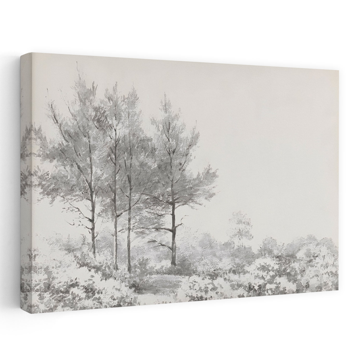 Ophelia & Co. Simple Landscape - Contemporary Trees White Landscape Art ...