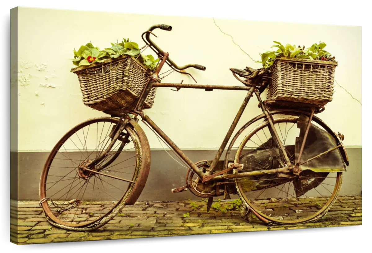 Gracie Oaks Rickety Bicycle | Wayfair