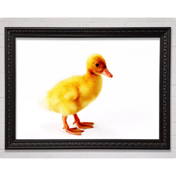 Bright Star Duckling - Single Picture Frame Art Prints | Wayfair.co.uk