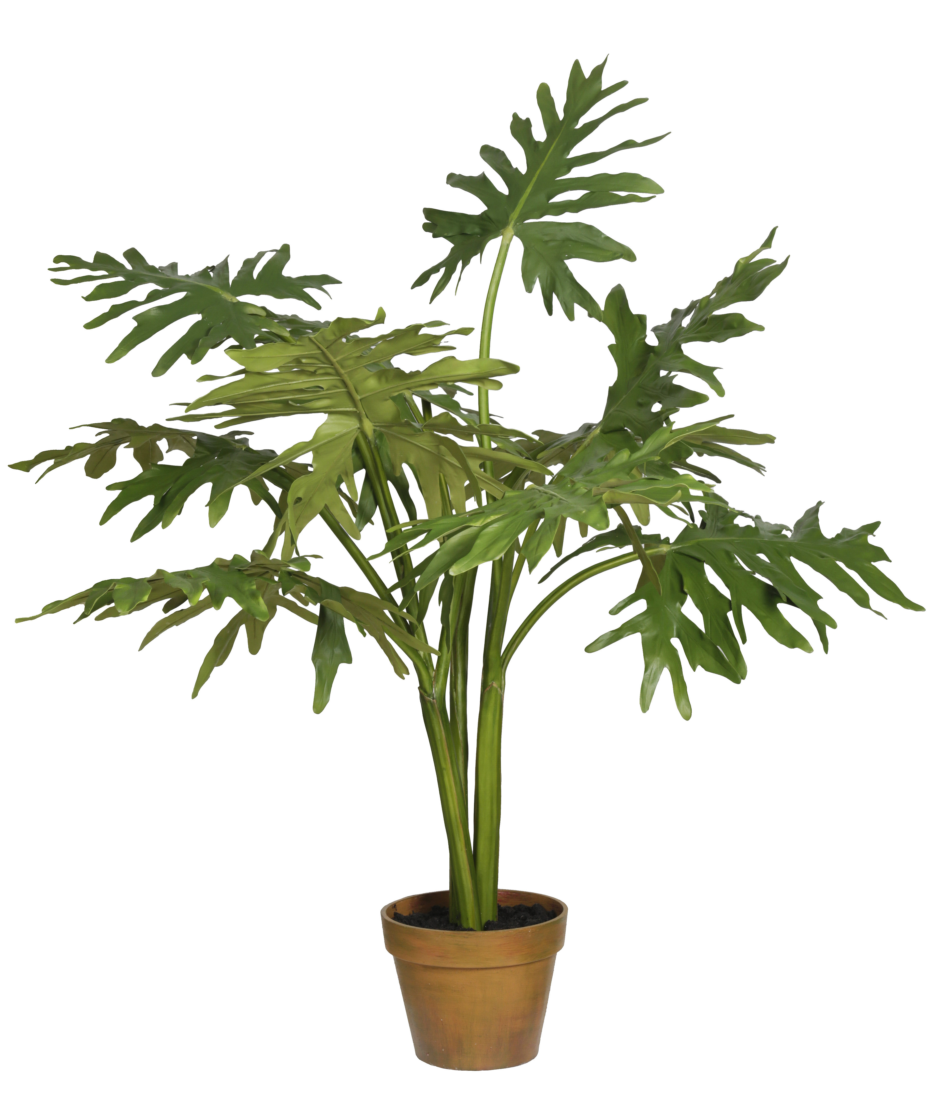 Winward Silks Cusp Leaf Monstera Tree In Terracotta Pot | Perigold