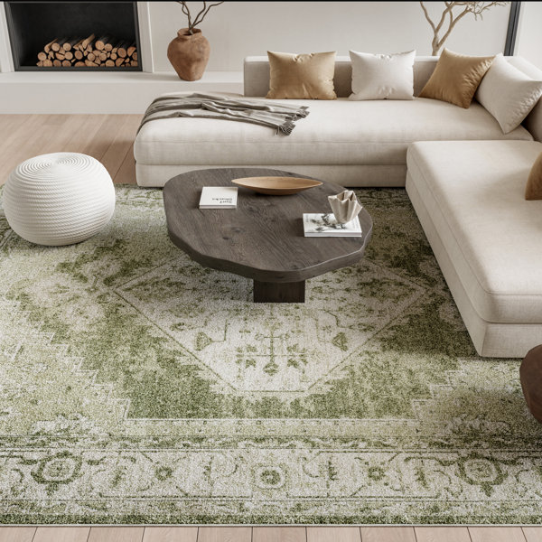 Area Rugs You'll Love | Wayfair
