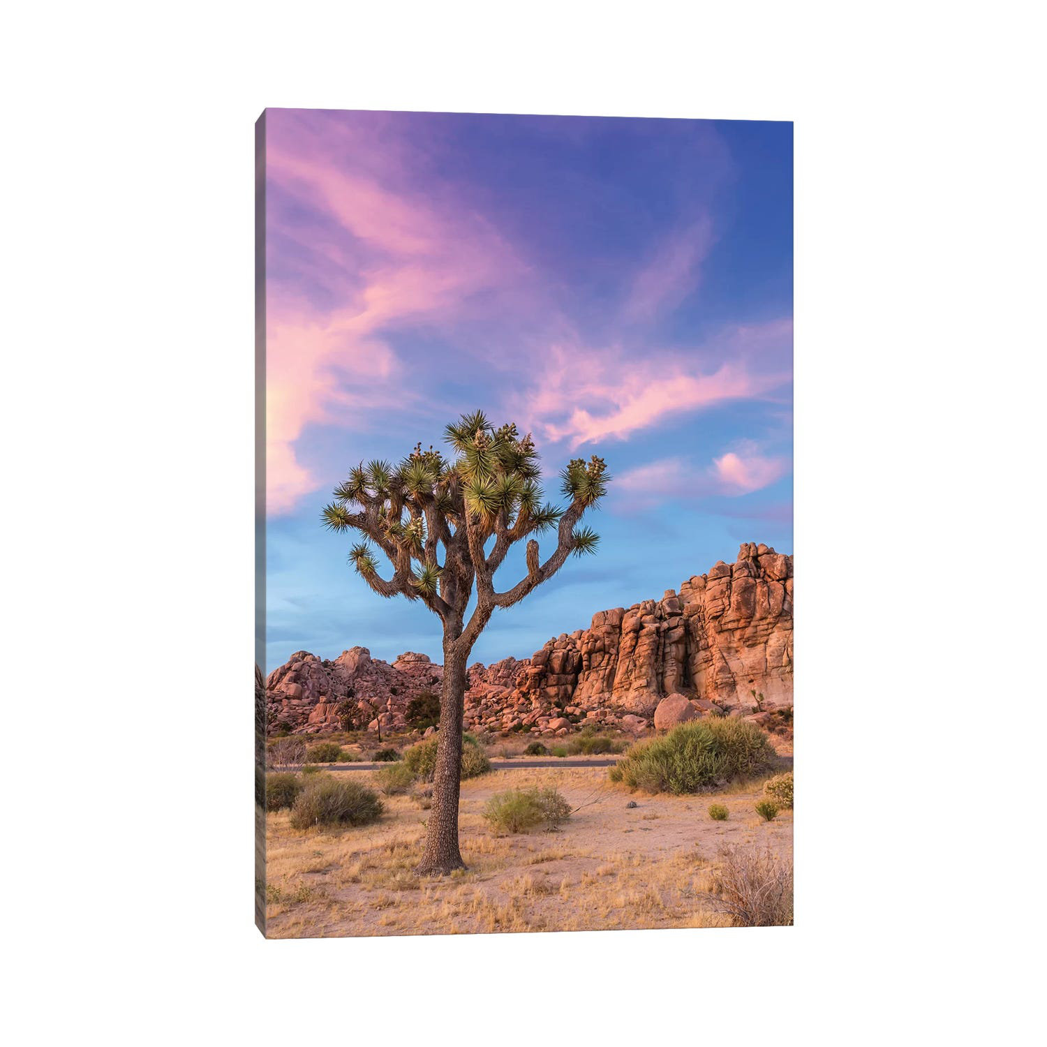 Natur Pur Joshua Tree Evening Atmosphere by Melanie Viola - Wrapped ...