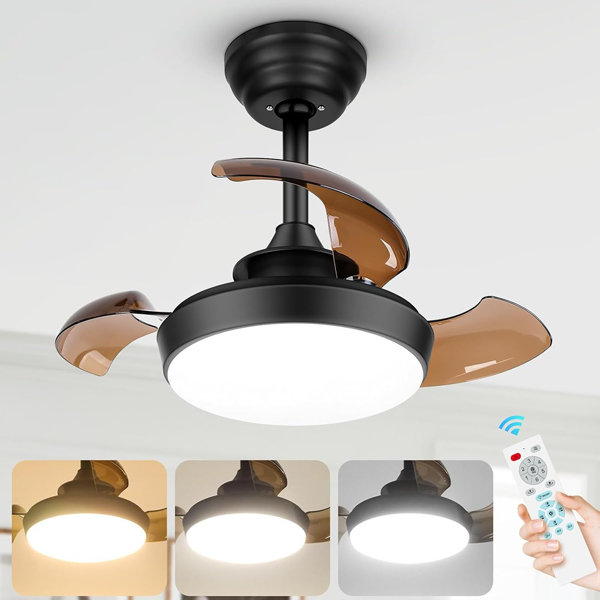 Orren Ellis 22 Inch Ceiling Fans With Lights, Retractable Ceiling Fan ...