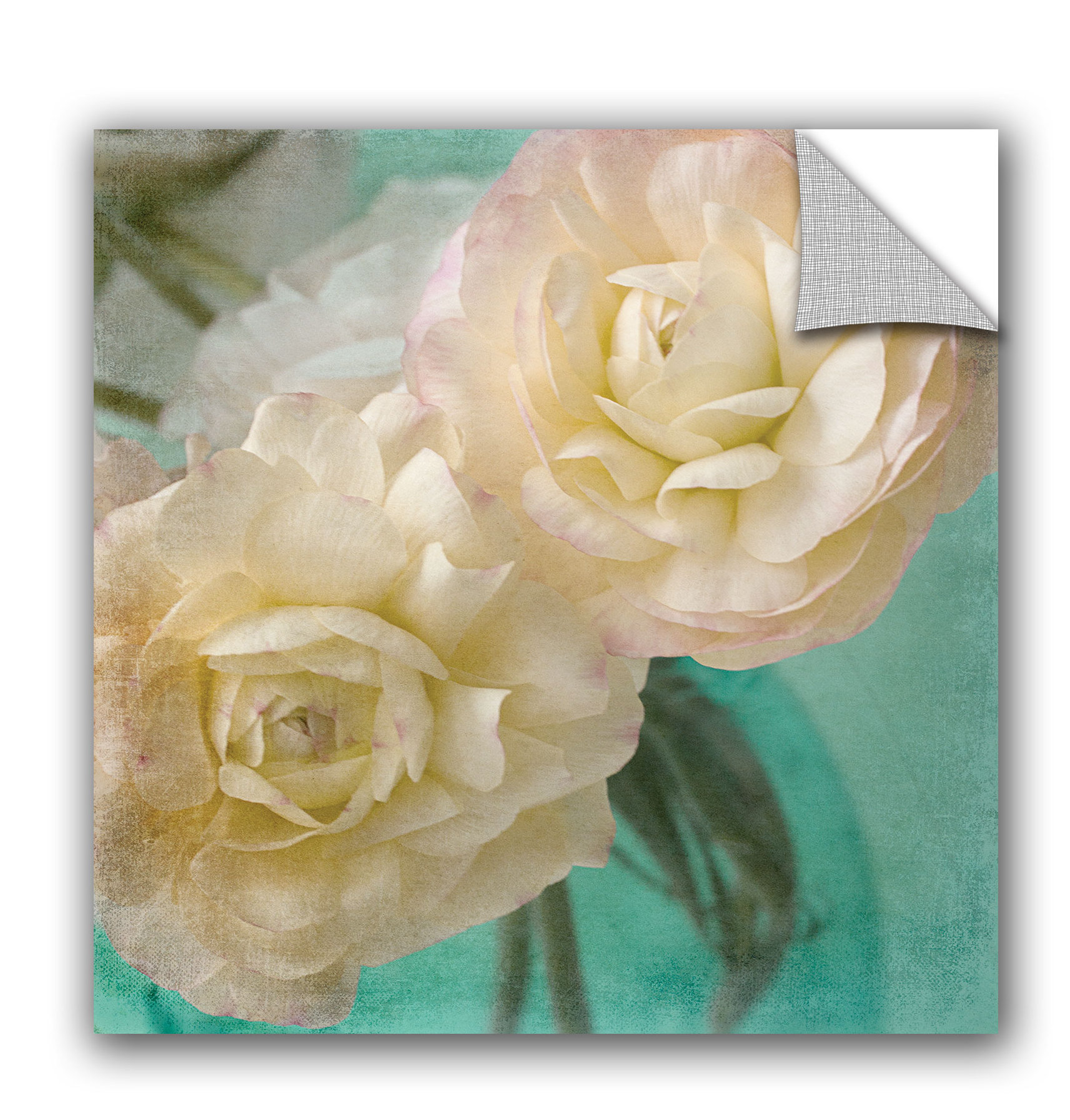 Lark Manor Akeema Peach Ranunculus 1 Removable Wall Decal - Wayfair Canada