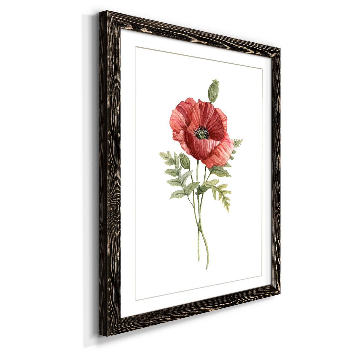 Winston Porter Scarlet Poppy - Picture Frame Painting Print on Paper ...