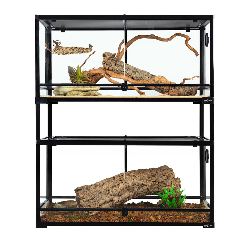 REPTIZOO 100 Gallon Lizards Terrarium & Reviews - Wayfair Canada