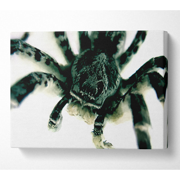 17 Stories Spider Stare - Wrapped Canvas Art Prints | Wayfair.co.uk
