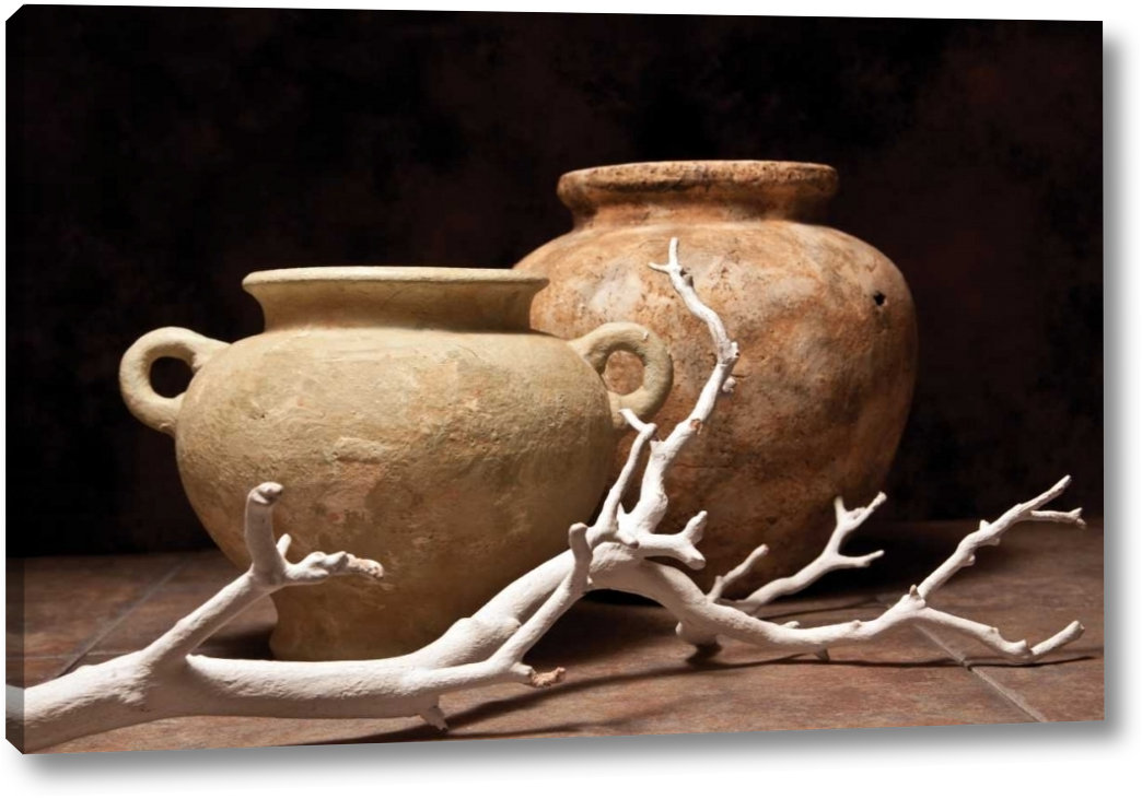 Millwood Pines 'Pottery with Branch I' Photographic Print on Wrapped ...