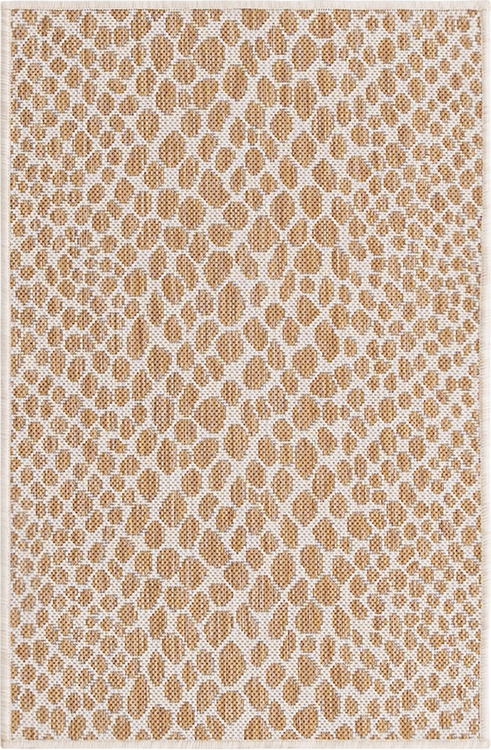 Ebern Designs Outdoor Destiny Area Rug Bone Color | Wayfair