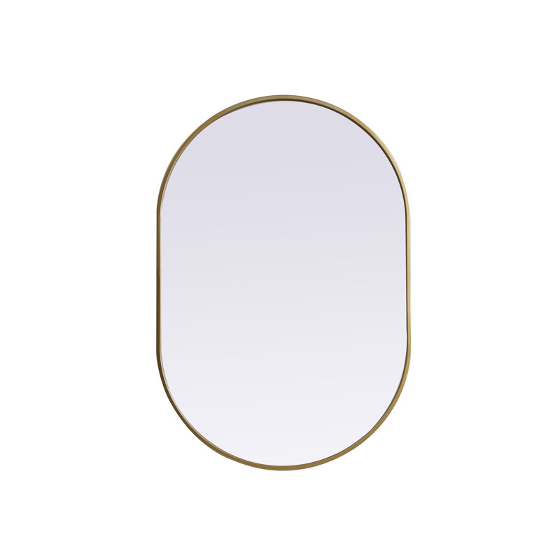 Sabine Metal Pill Wall Mirror & Reviews | Joss & Main