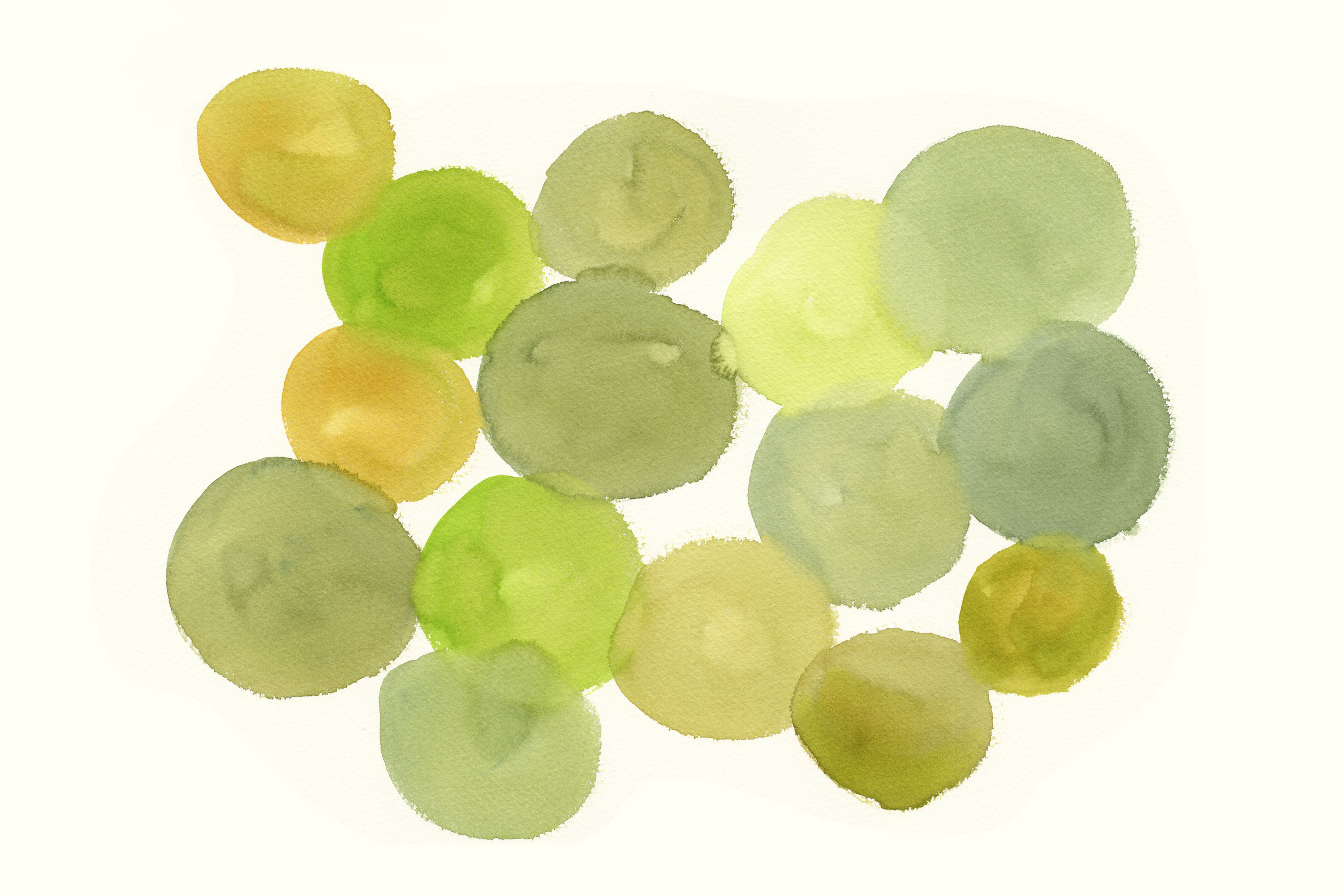 Wrought Studio Green Watercolour Circles I - Wayfair Canada