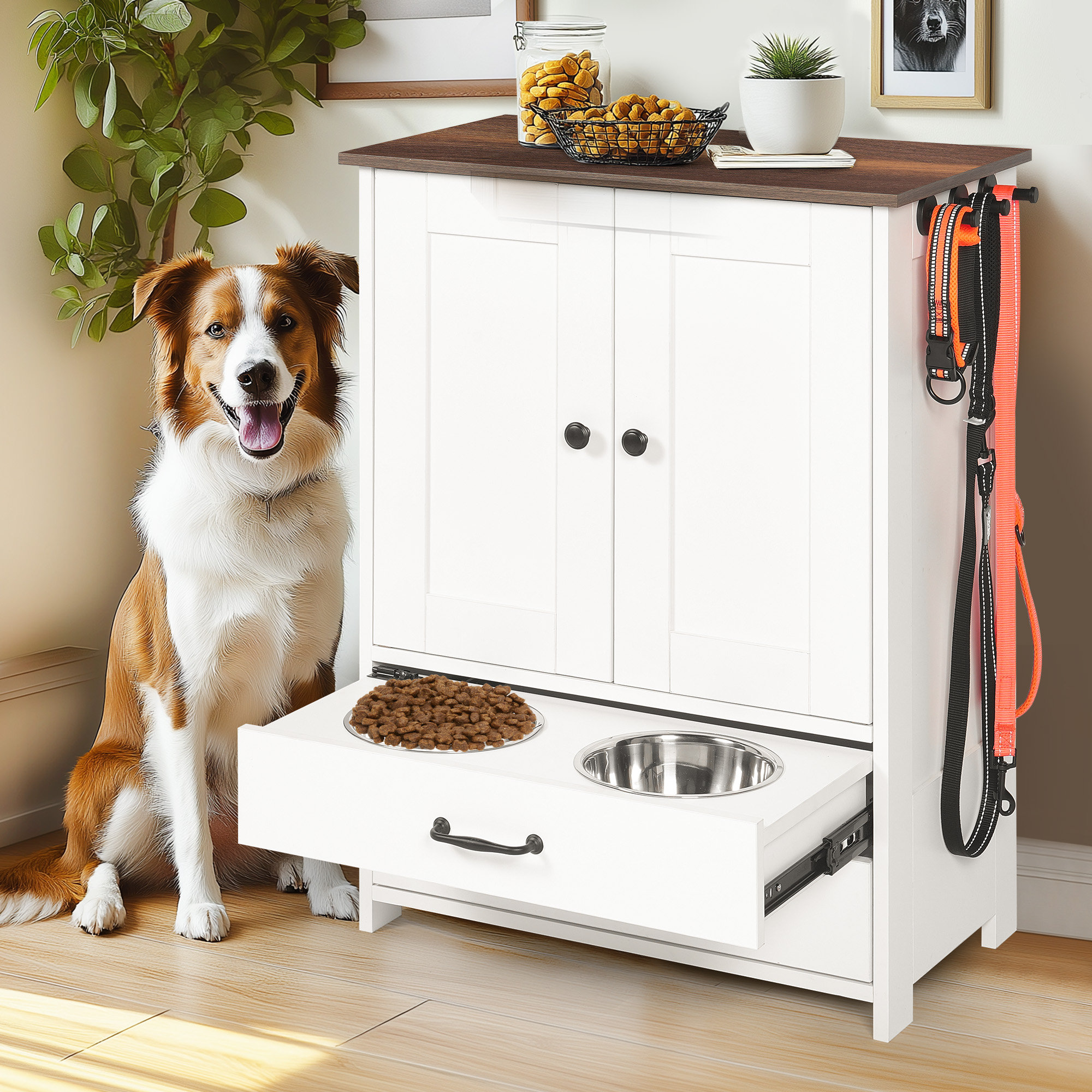 nutroeno Dog Feeding Station, Double Door Locker With 2 Adjustable Dog ...