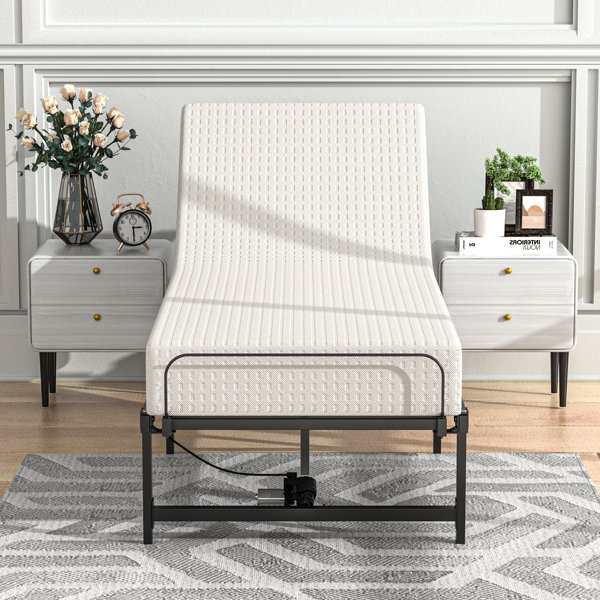 Alwyn Home Electric Adjustable Bed Frame, Head And Foot Incline Bed ...