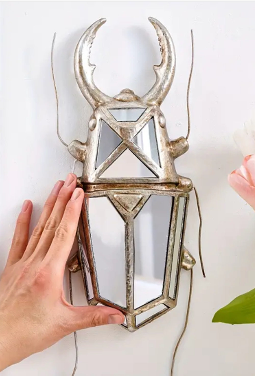 Mercer41 Pincher Bug Beetle Mirror Glam Safari Gallery Wall - Silver ...