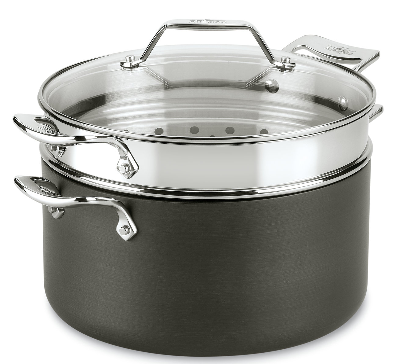 All-Clad Essentials 7 qt. Multi-Pot with Lid & Reviews | Birch Lane