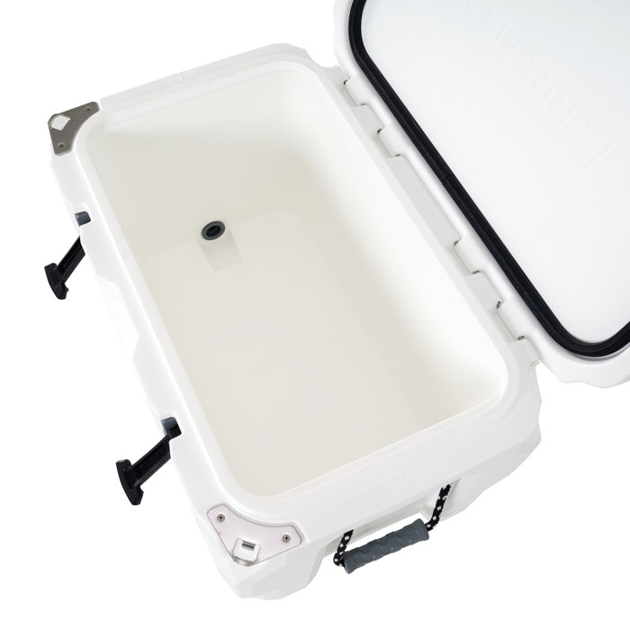 Lifetime 65 Quarts Ice Chest Cooler & Reviews | Wayfair