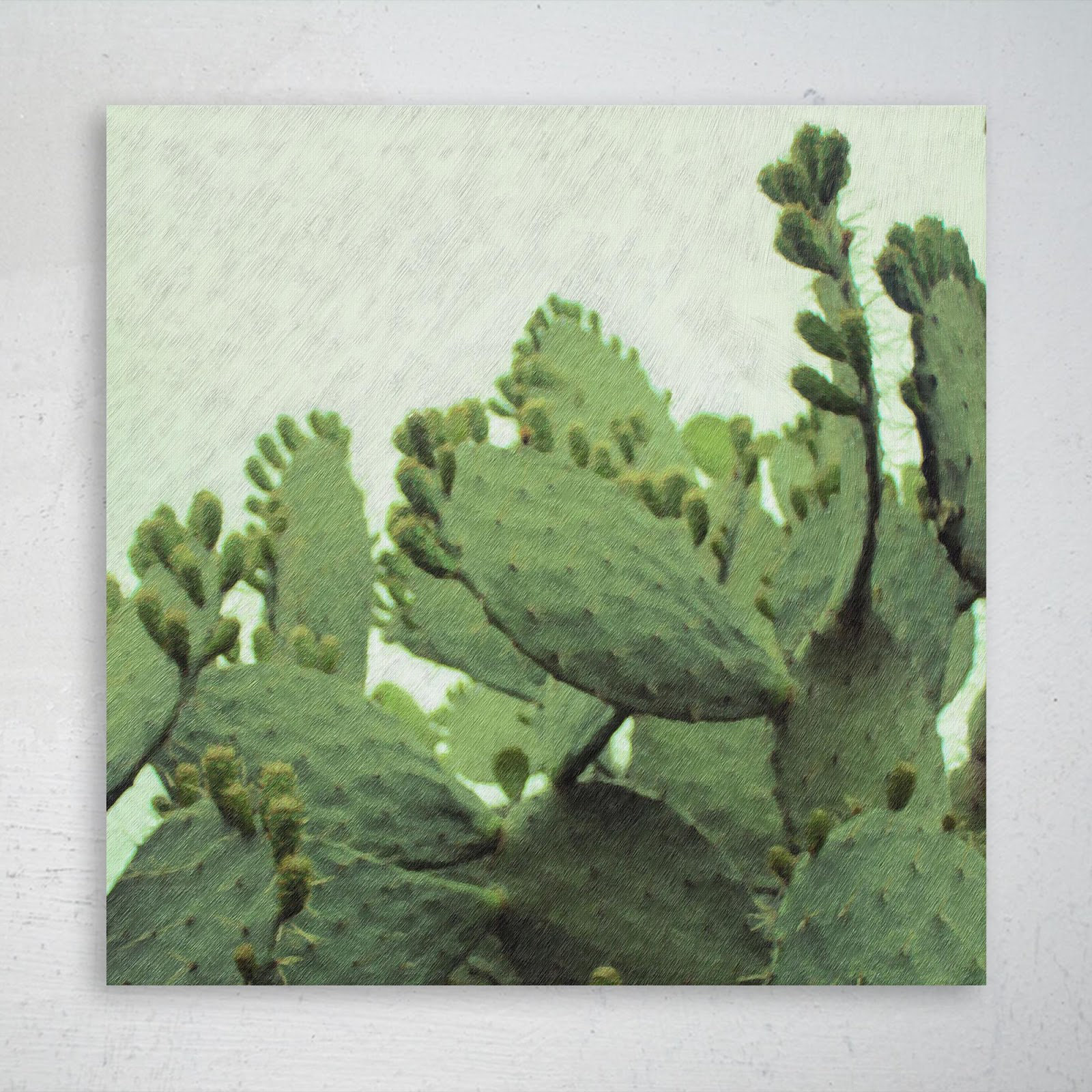 Foundry Select Green Cactus Plant During Daytime 31 - 1 Piece Square ...