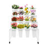 Arlmont & Co. Terisa 4-Tier Rolling Metal Flower Display Plant Rack ...