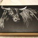 Bless international " Brindle Rodeo Bull " by Julie T. Chapman on ...