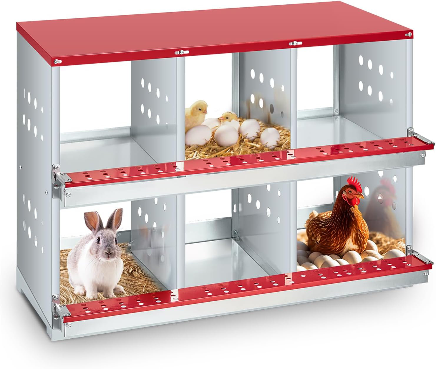 Archie & Oscar™ Chicken Nesting Boxes for Laying Eggs, Metal Chicken ...