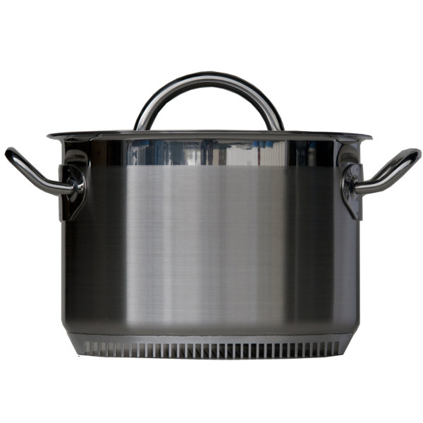 Turbo Pot Stainless Steel Standard Pot with Lid | Wayfair