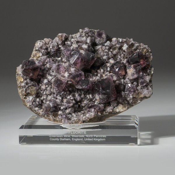Astro Gallery of Gems Purple Fluorite From Greenlaws Mine, Victoria ...