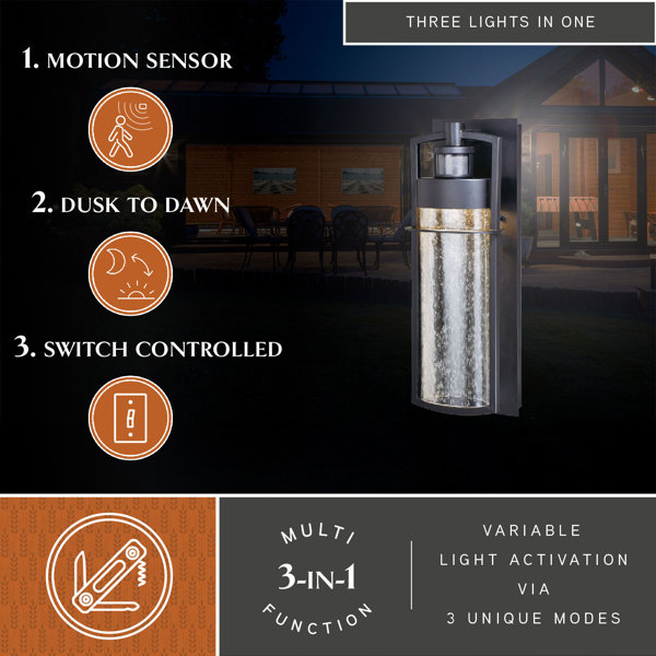 Wade Logan® Alanson LED Outdoor Wall Lantern & Reviews | Wayfair