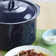 IMUSA Enameled Cast Iron Stock Pot & Reviews | Wayfair