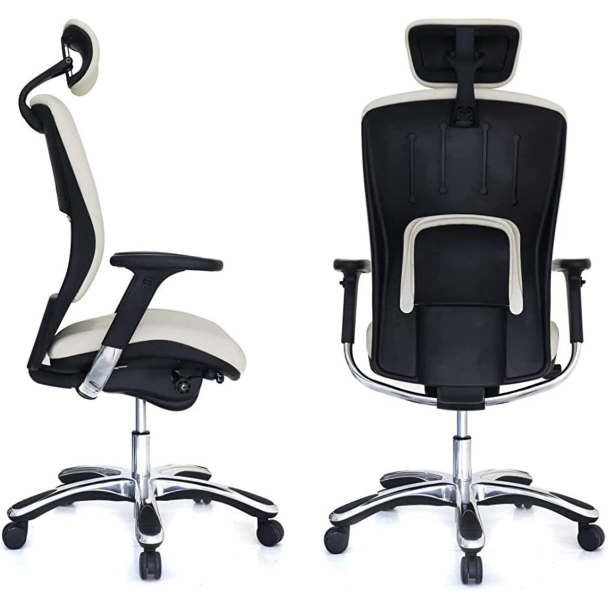 Symple Stuff Genuine Leather Task Chair & Reviews | Wayfair