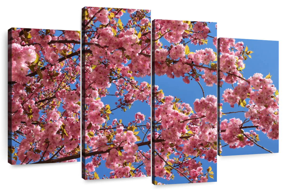 Elephant Stock Lush Sakura Tree | Wayfair