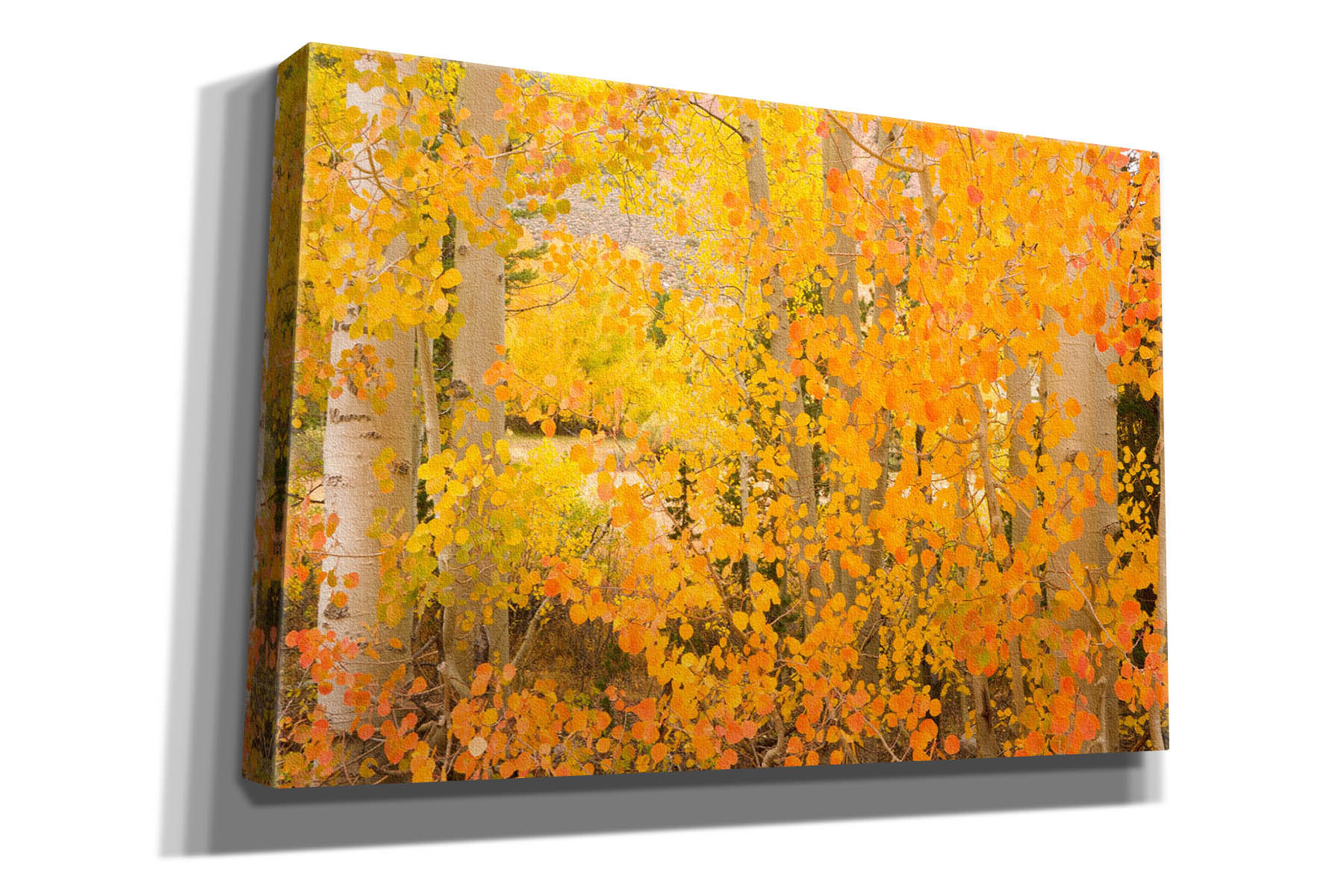 Epic Graffiti 'North Lake Aspen' by Brandon Wong Canvas Wall Art, 60" x ...