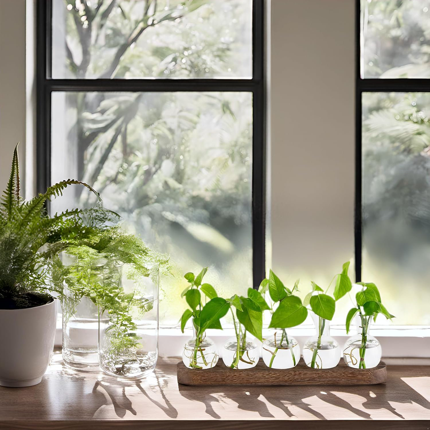 Williston Forge Desktop Plant Propagation Glass Station Retro Terrarium ...