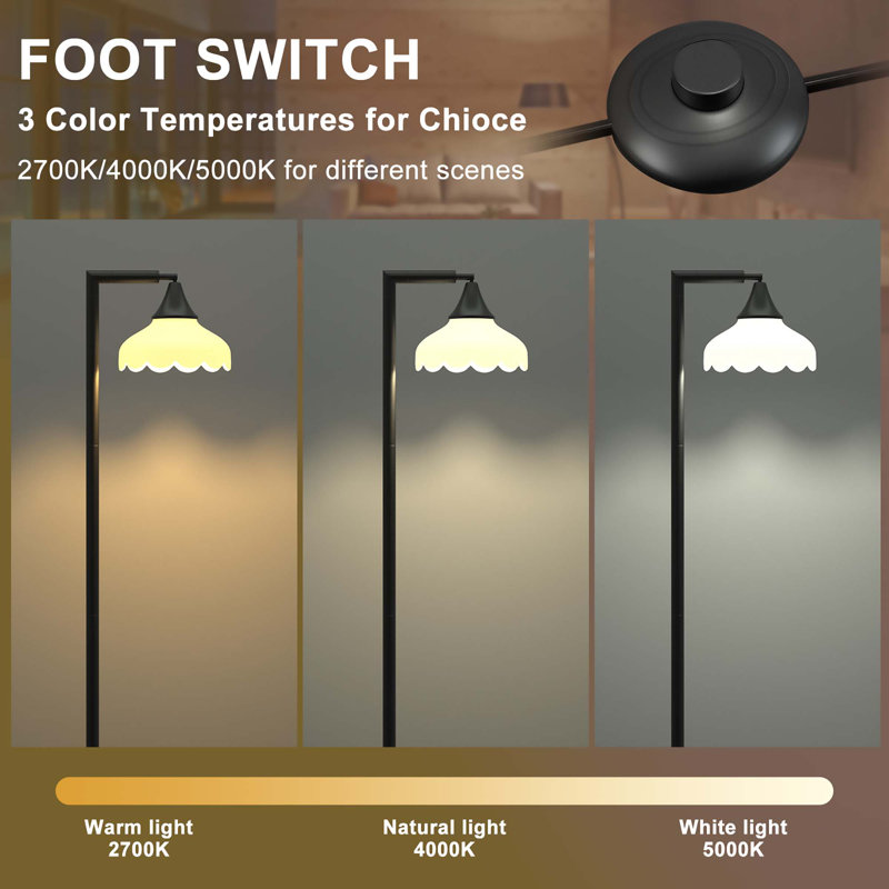 Winston Porter Nobue 76.3'' Black LED Swing Arm Floor Lamp | Wayfair