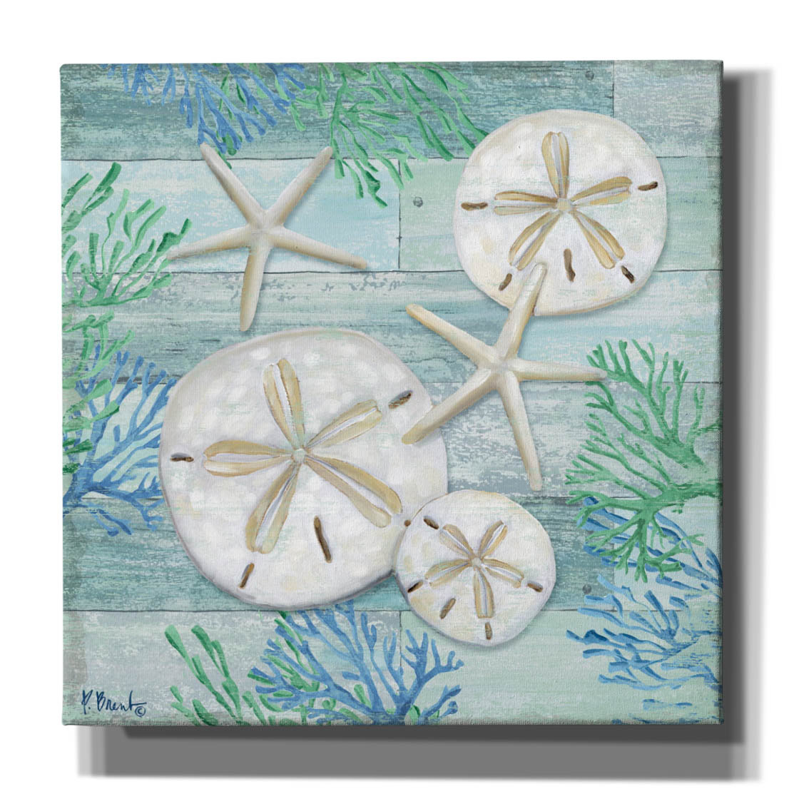 Highland Dunes 'Clearwater Shells I' by Paul Brent, Canvas Wall Art ...