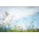 Wall Art Production Network Summer Meadow by Borchee - Print | Wayfair ...