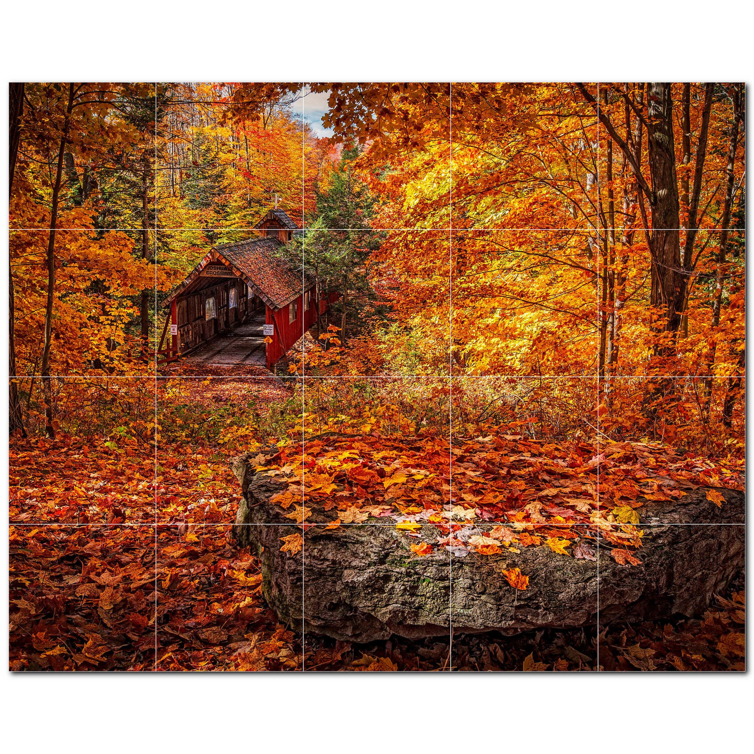 Picture-Tiles.com Autumn Photo 12'' x 12'' Satin Ceramic Decorative ...