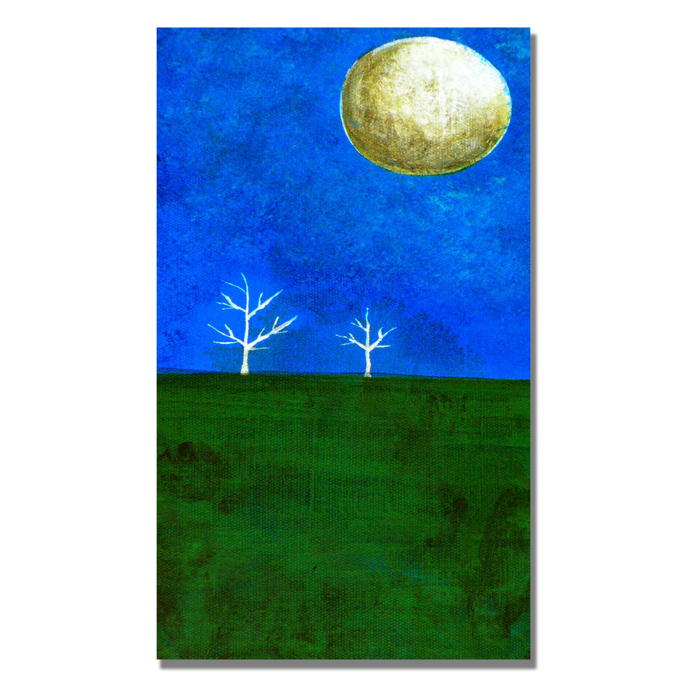 Trademark Fine Art 'Moonlight One' by Nicole Dietz Framed Painting ...